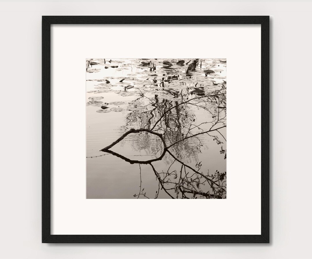 Art Photography Autumn Mirage Photo Print Unframed or Canvas Print ...