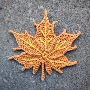 PDF Maple Leaf Crochet Pattern: Use It as a Coaster, Applique or Fall ...