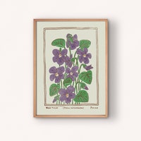 Violets - Etsy