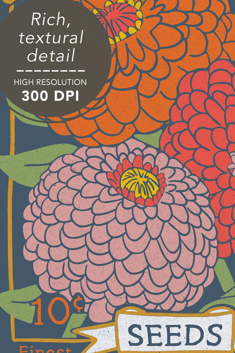 Zinnia Flowers Seed Packet Art Print Poster in dusty - Etsy
