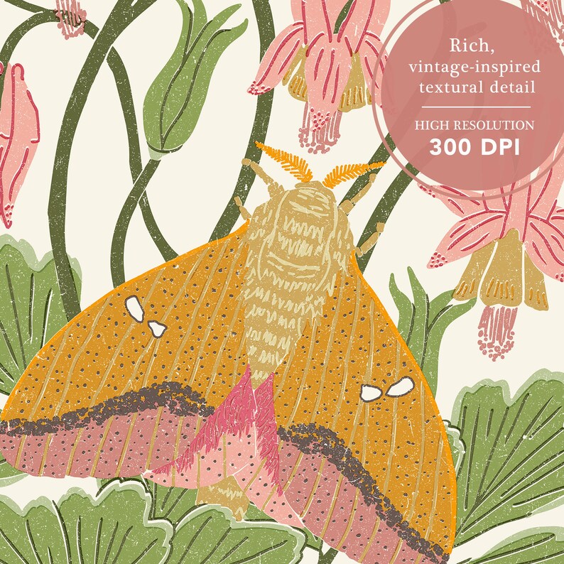 Vintage Silk Moth Entomology Poster: Botanical Illustration - Etsy