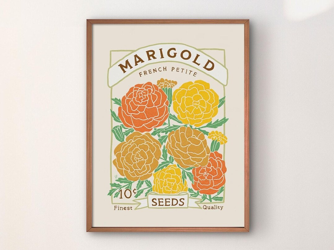 Marigolds Seed Packet Art Print: Vintage Style Floral Poster - Etsy