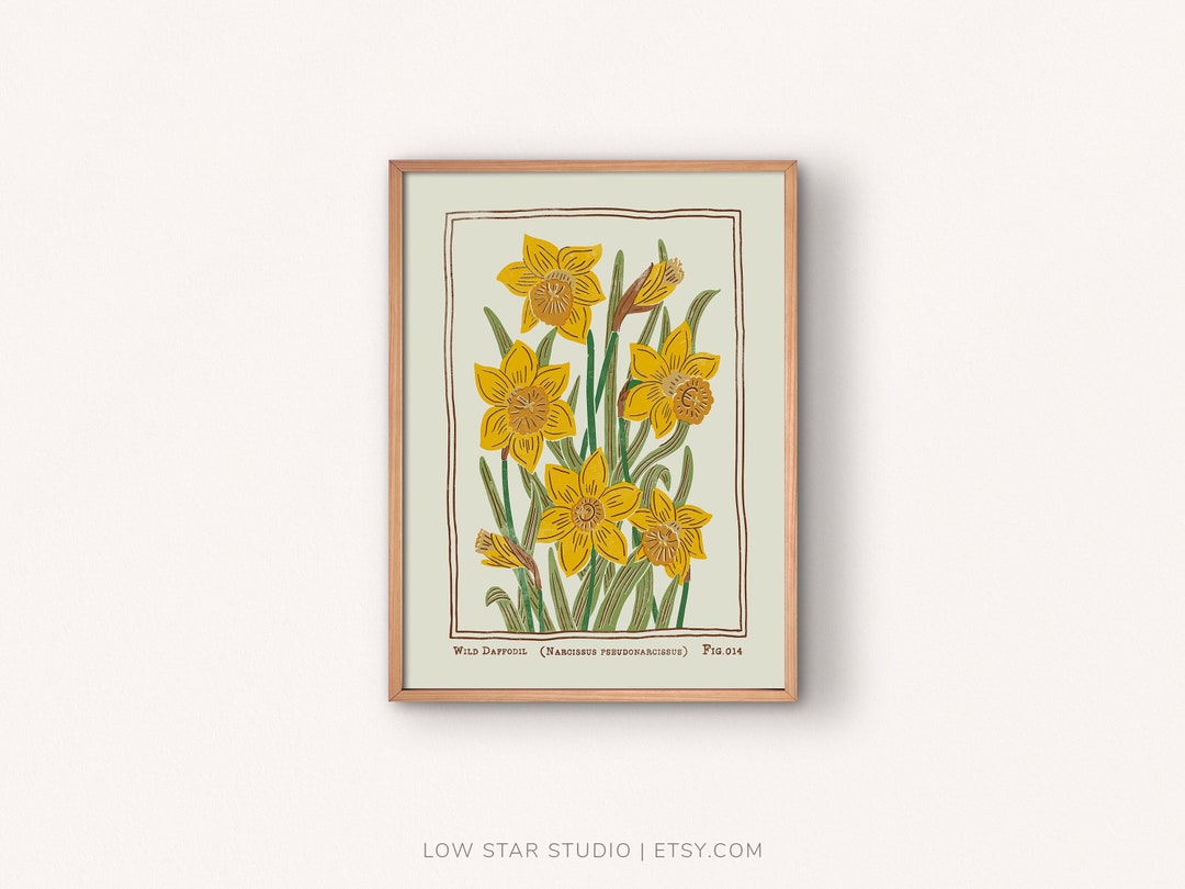 Wild Daffodil Art Print: Vintage Style Botanical Illustration - Etsy