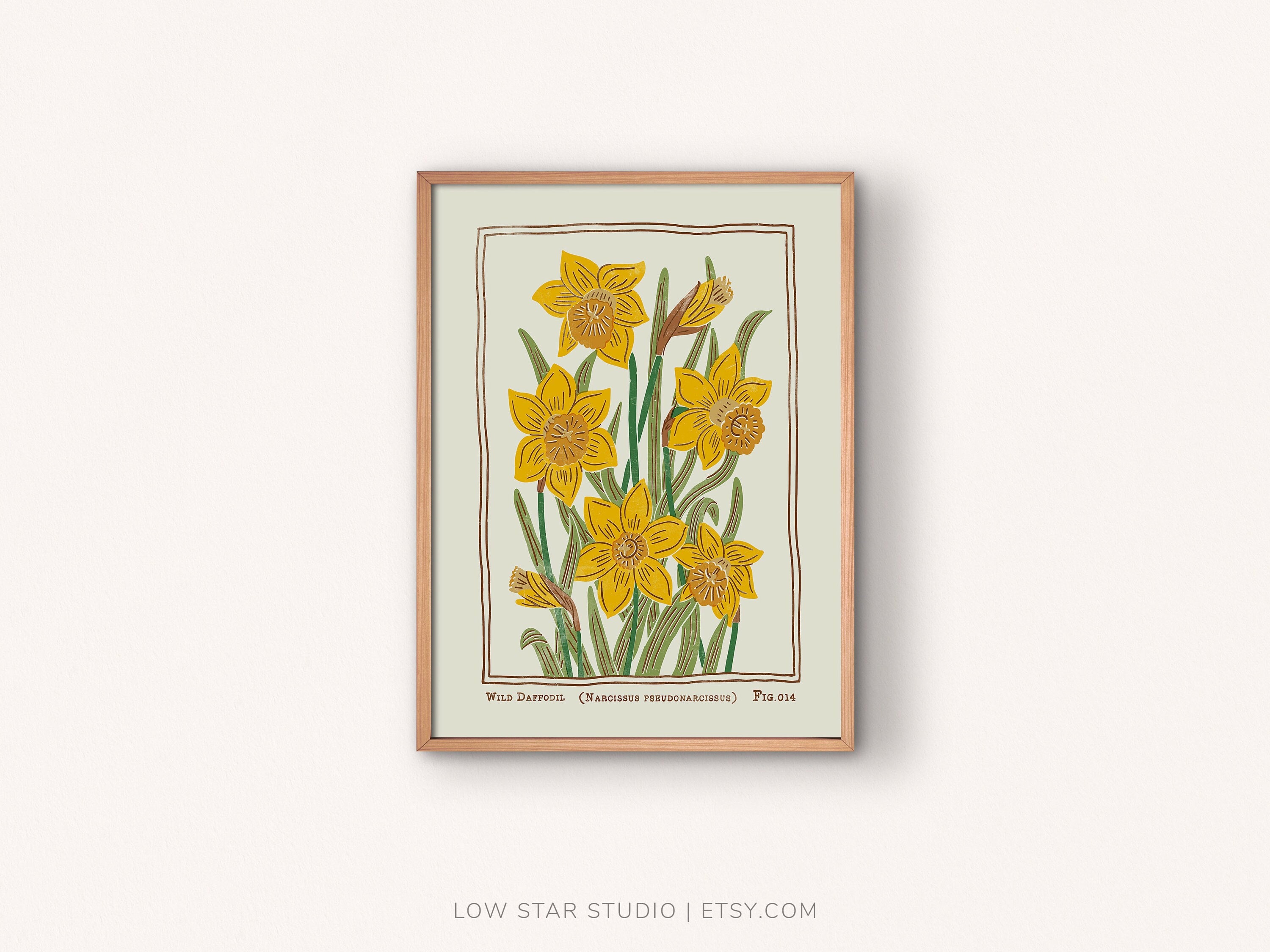 Wild Daffodil Art Print: Vintage Style Botanical Illustration - Etsy