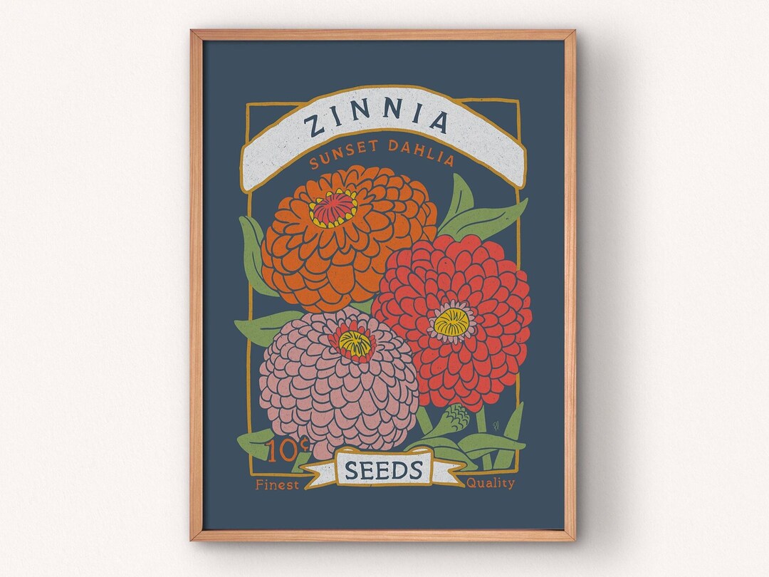 Zinnia Flowers Seed Packet Art Print Poster in "dusty Navy" | Available ...