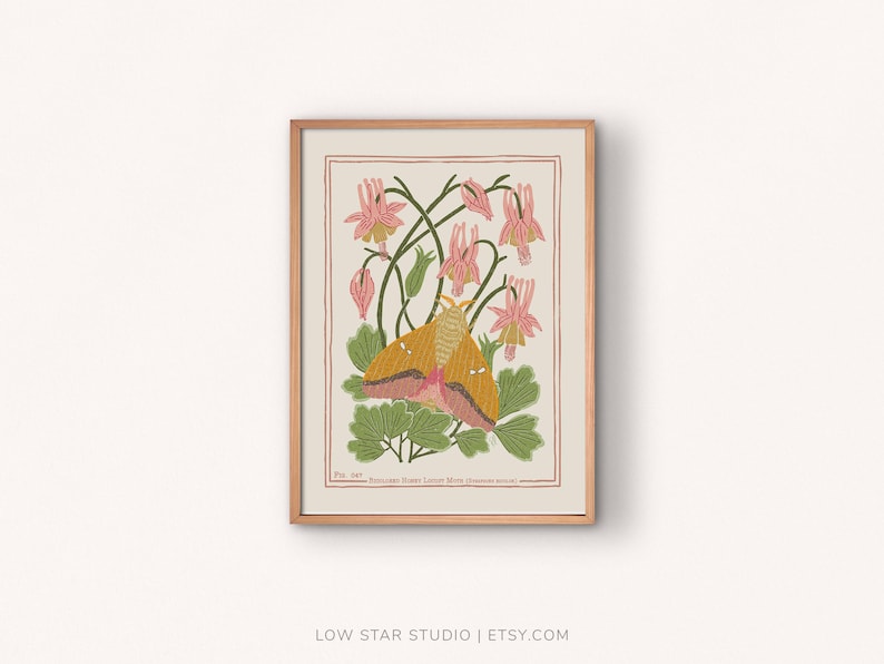 Vintage Silk Moth Entomology Poster: Botanical Illustration - Etsy