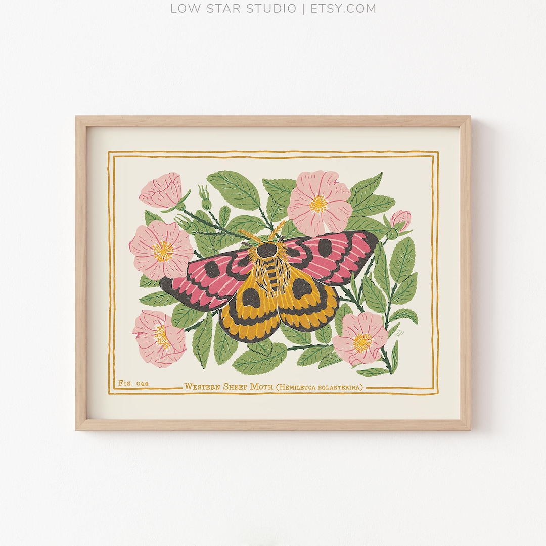 Western Sheep Moth Art Print: Vintage Entomology Poster - Etsy