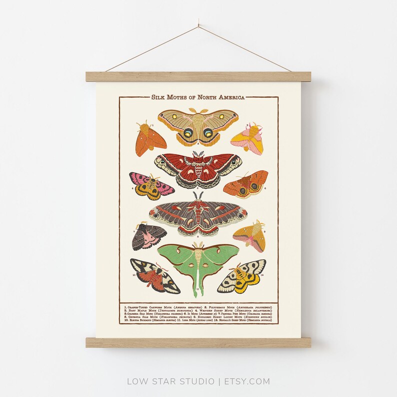 Silk Moths of North America: Vintage Entomology Poster Print - Etsy