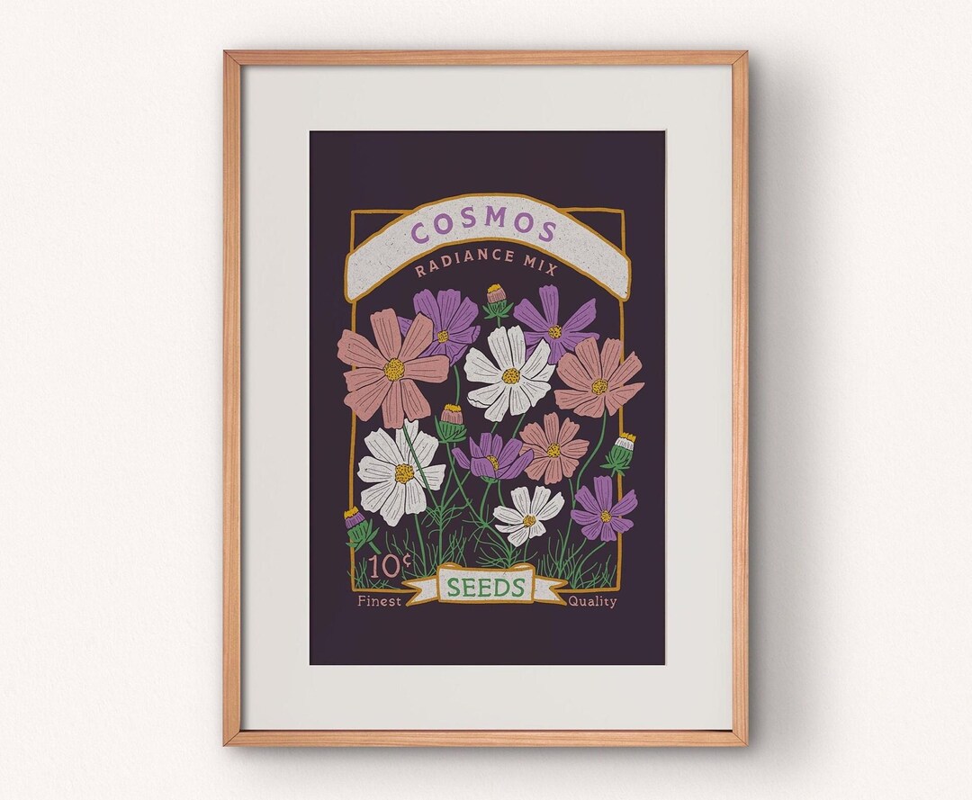 Cosmos Flowers Seed Packet Art Print Poster in "deep Purple ...