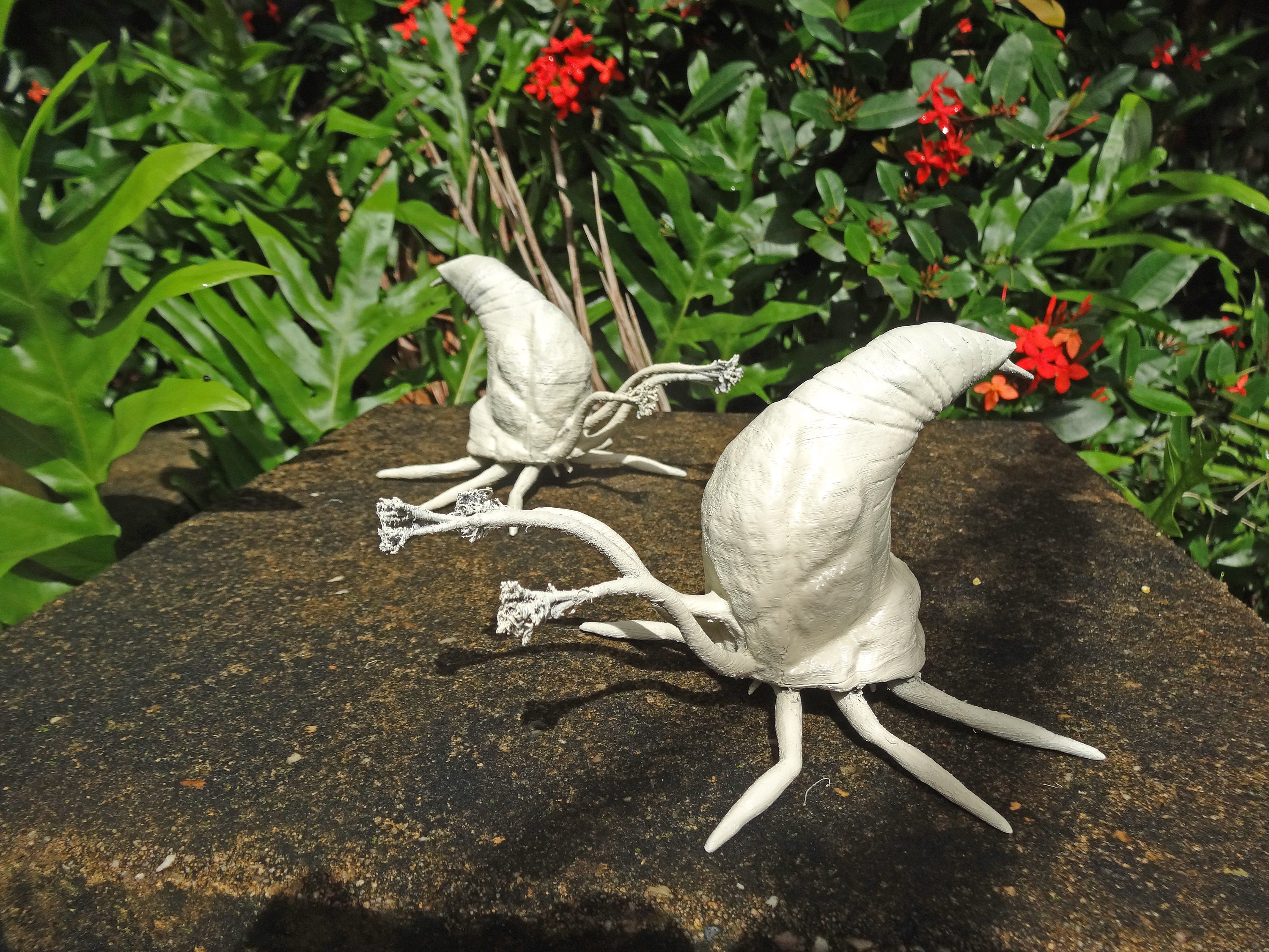 Halo Flood Infection Form