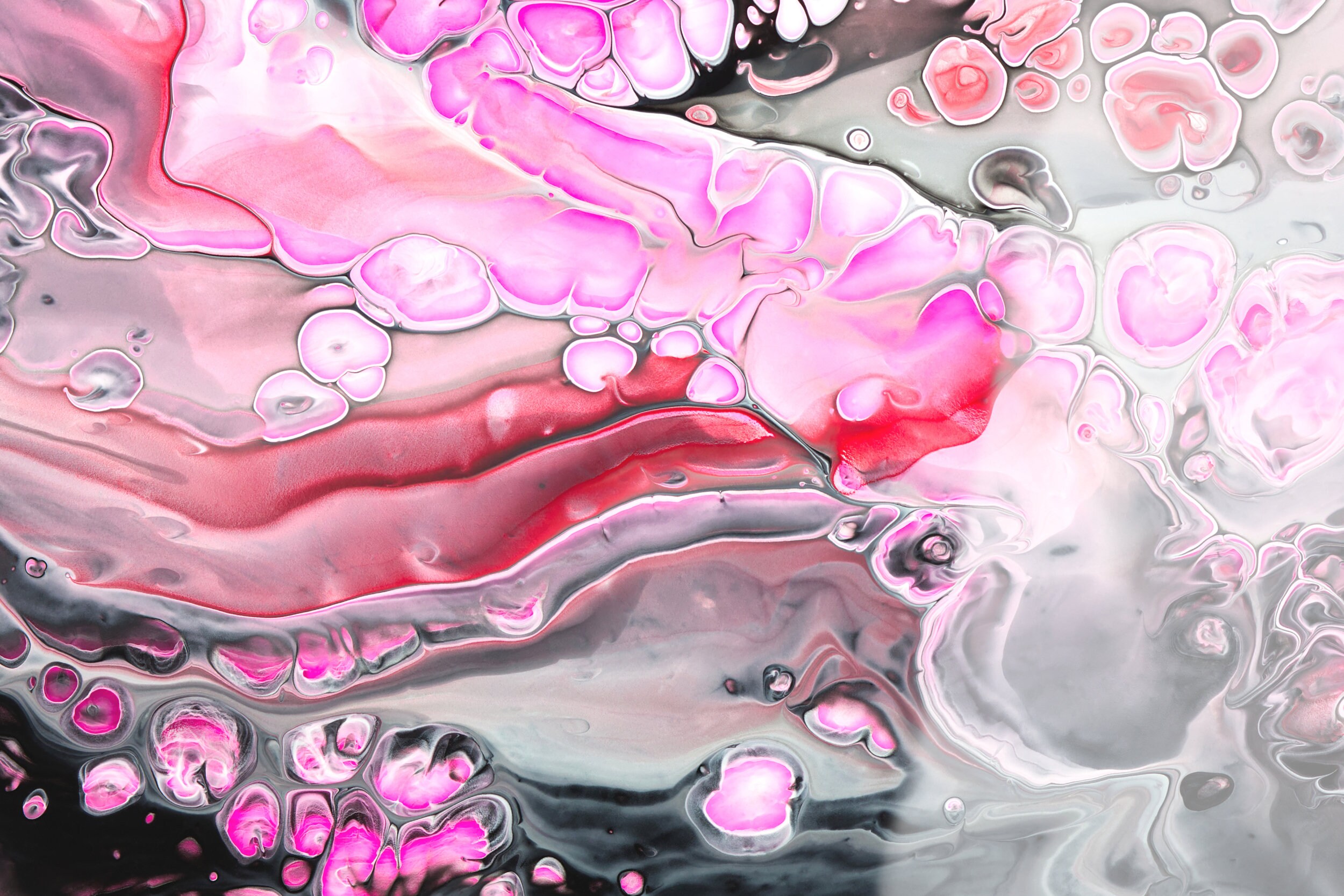 Adorable Tiktus Color Plate Wall Art Wall Decoration - Etsy