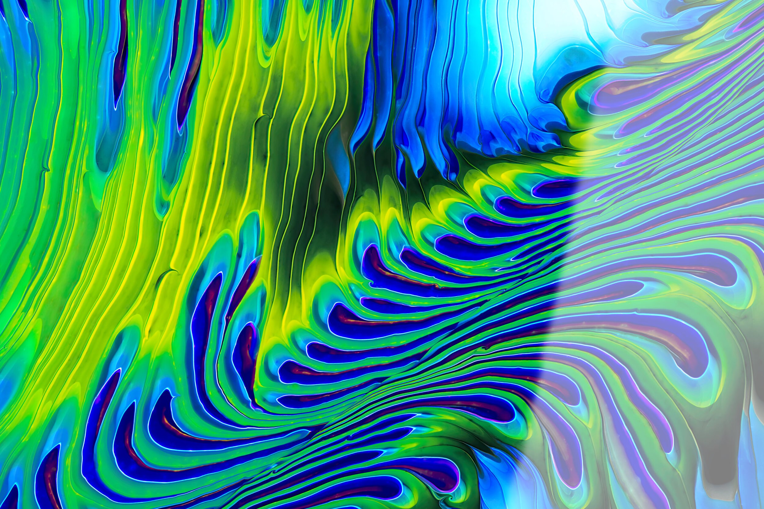 Elevation Tiktus Color Plate Wall Art Wall Decoration - Etsy