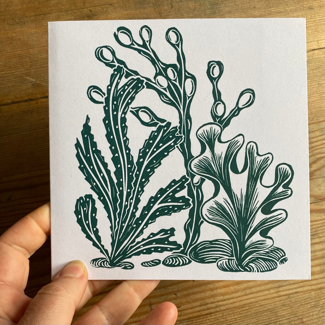 Seaweed Linocut Greeting Card - Etsy