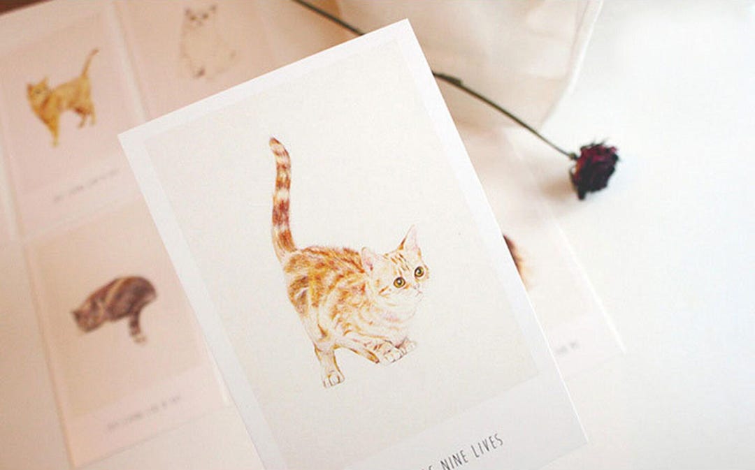 Hand Drawn Cat Postcard Set | Kitten Memo Cards (30pc) - Etsy