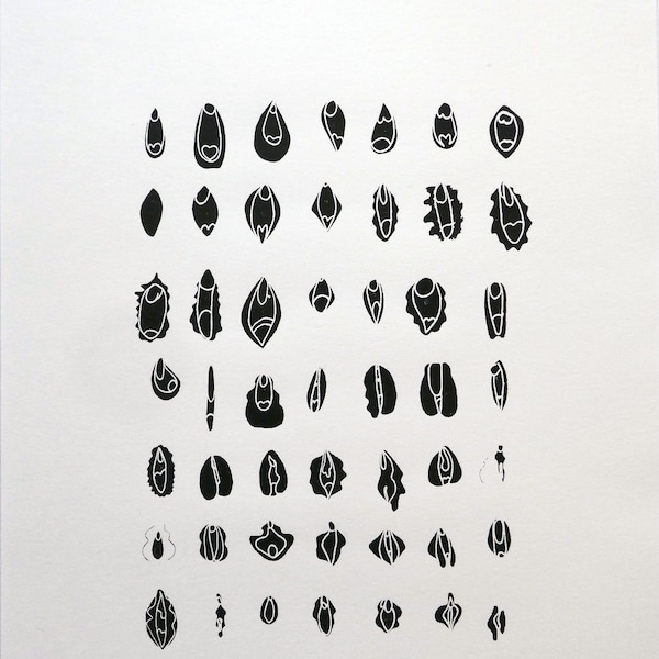 Vulva Diversity Print Etsy
