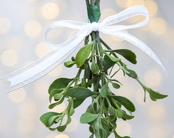 Mistletoe Real Fresh Cut With Gold Hanging Ribbon Large | Etsy