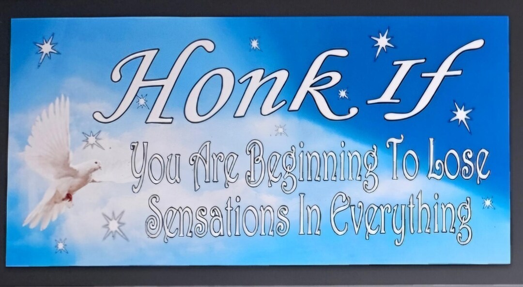 Adhesive Skin Script: Lost Sensations Pls Honk - Etsy