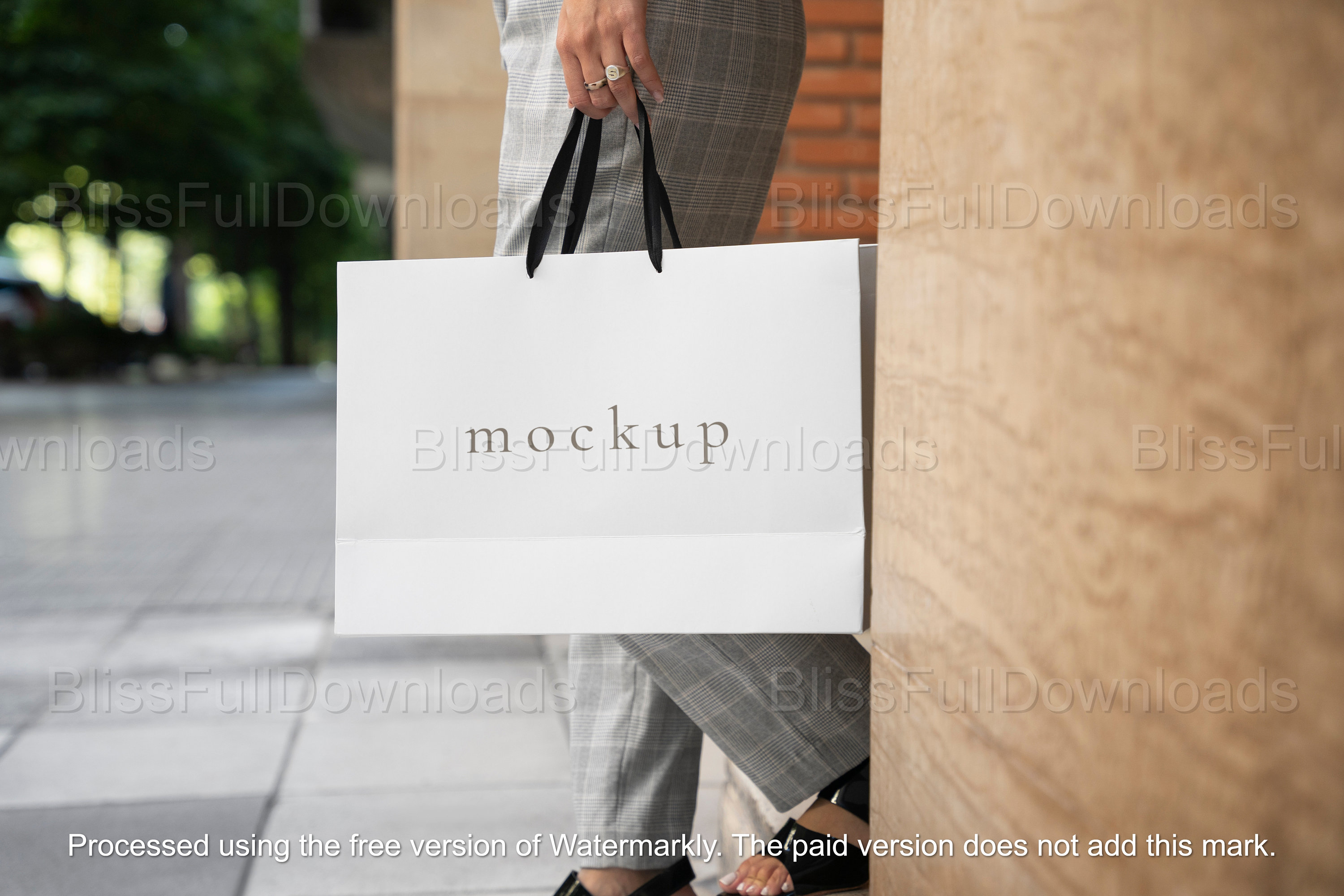 Model Holding Luxurious Shopping Bag Mockup PSD, Paper Bag Mockups ...