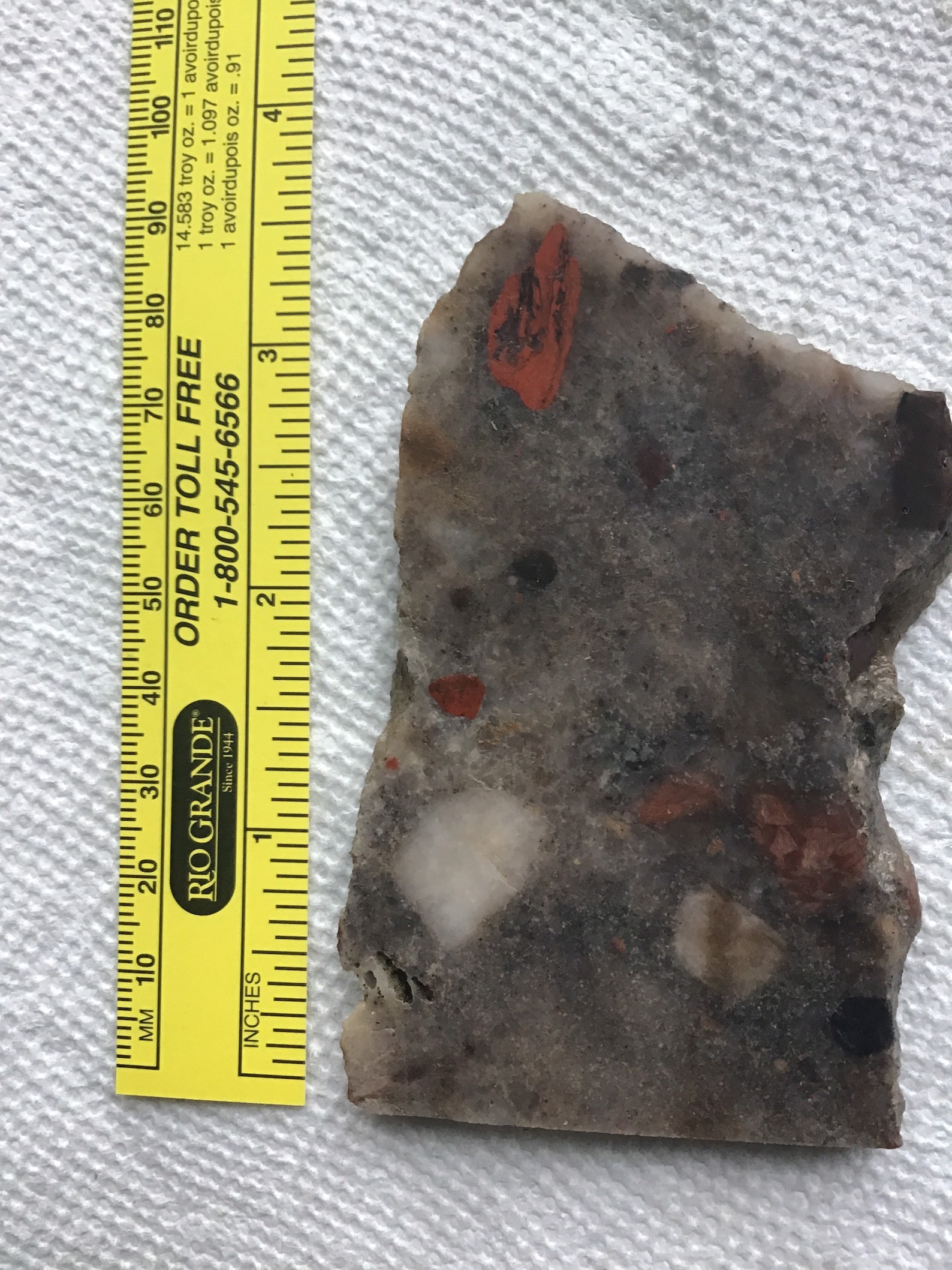 Large Puddingstone Slab Unpolished. - Etsy