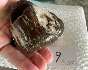 Michigan Lightning Stone, Septarian .paper Weight. - Etsy