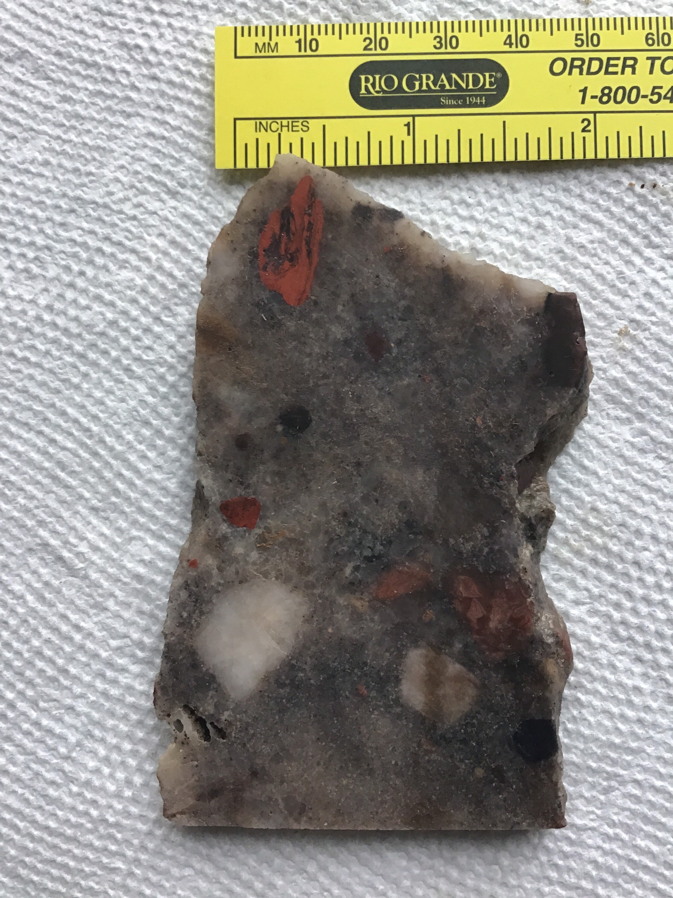 Large Puddingstone Slab Unpolished. | Etsy