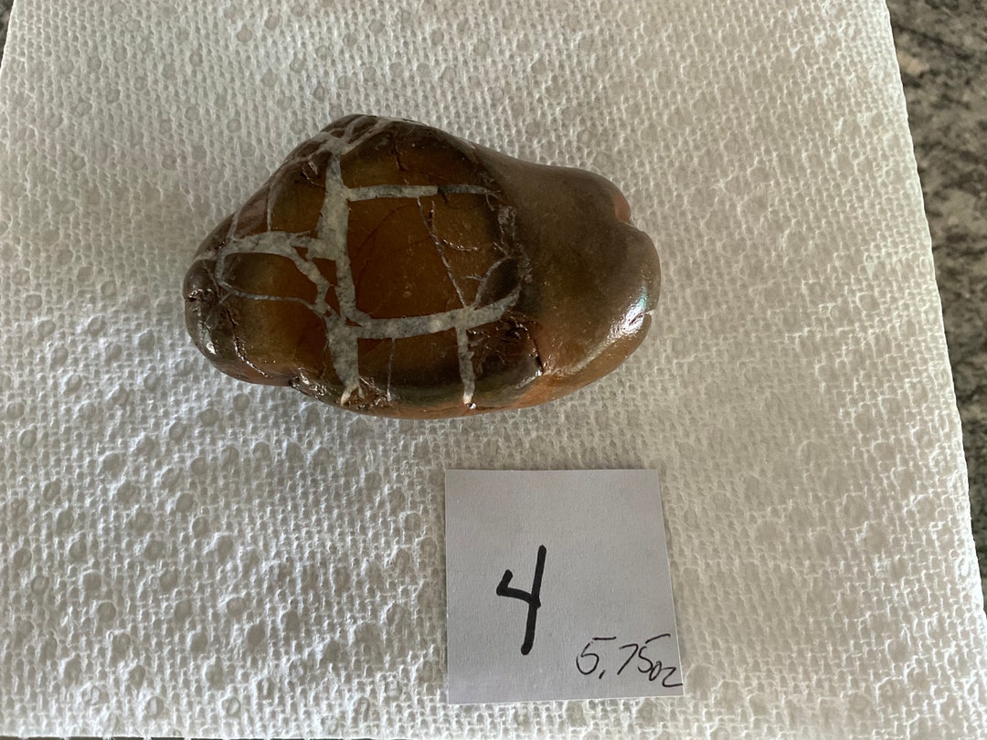 Michigan Lightning Stone, Septarian .paper Weight. - Etsy