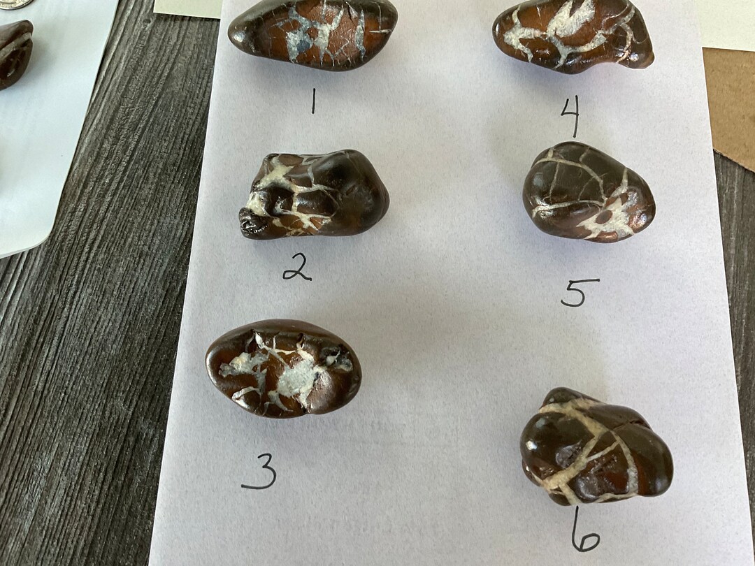 Michigan Lightning Stone, Septarian . Paperweight - Etsy