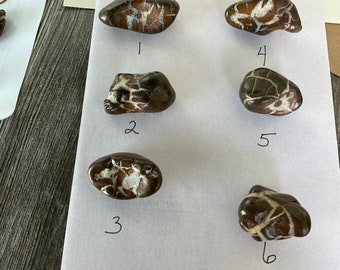 Michigan Lightning Stones - Septarian Nodules - Fossil Mud Cracks - 4 ...