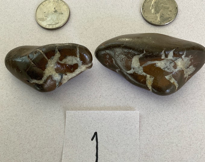 Michigan Tumbled, Polished & Cut Lightning Stone Pair - Etsy