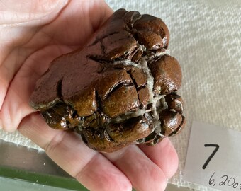 Michigan Lightning Stone, Septarian .paper Weight. - Etsy