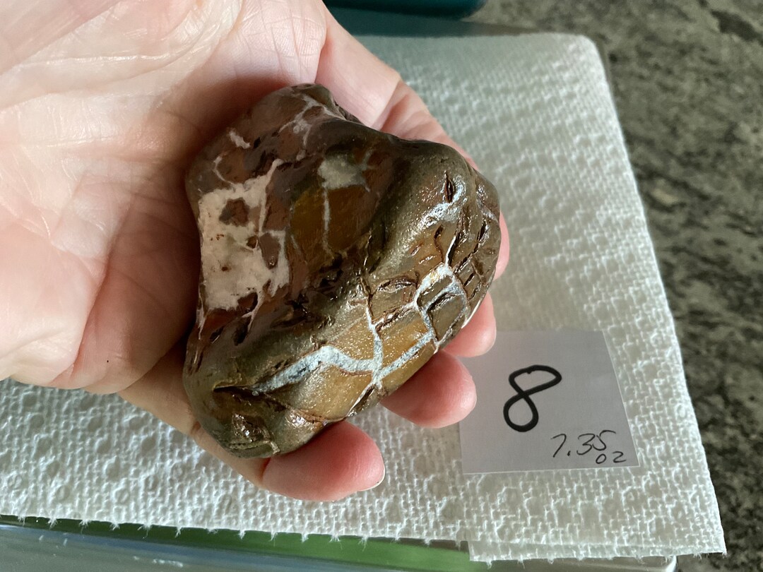 Michigan Lightning Stone, Septarian .paper Weight. - Etsy