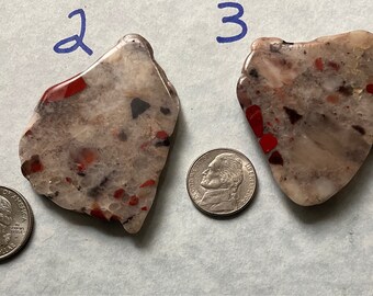 5 Lb 5.8 Oz Colorful Pudding Stone | Large Natural Gem From Lake Huron ...