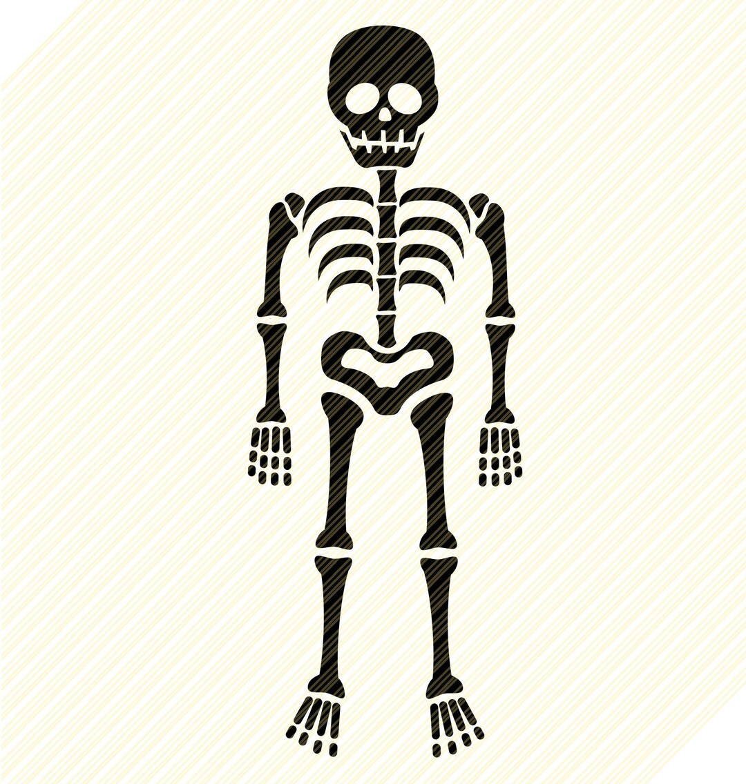 Skeleton SVG, Halloween Skeleton Svg, Halloween Svg, Skeleton Torso Svg ...
