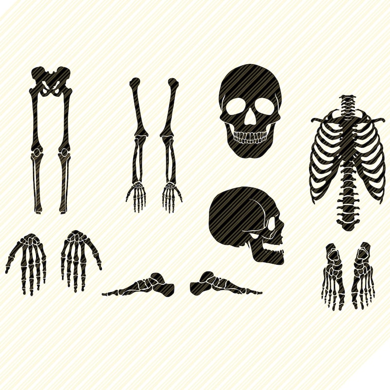 Skeleton Svg - Etsy