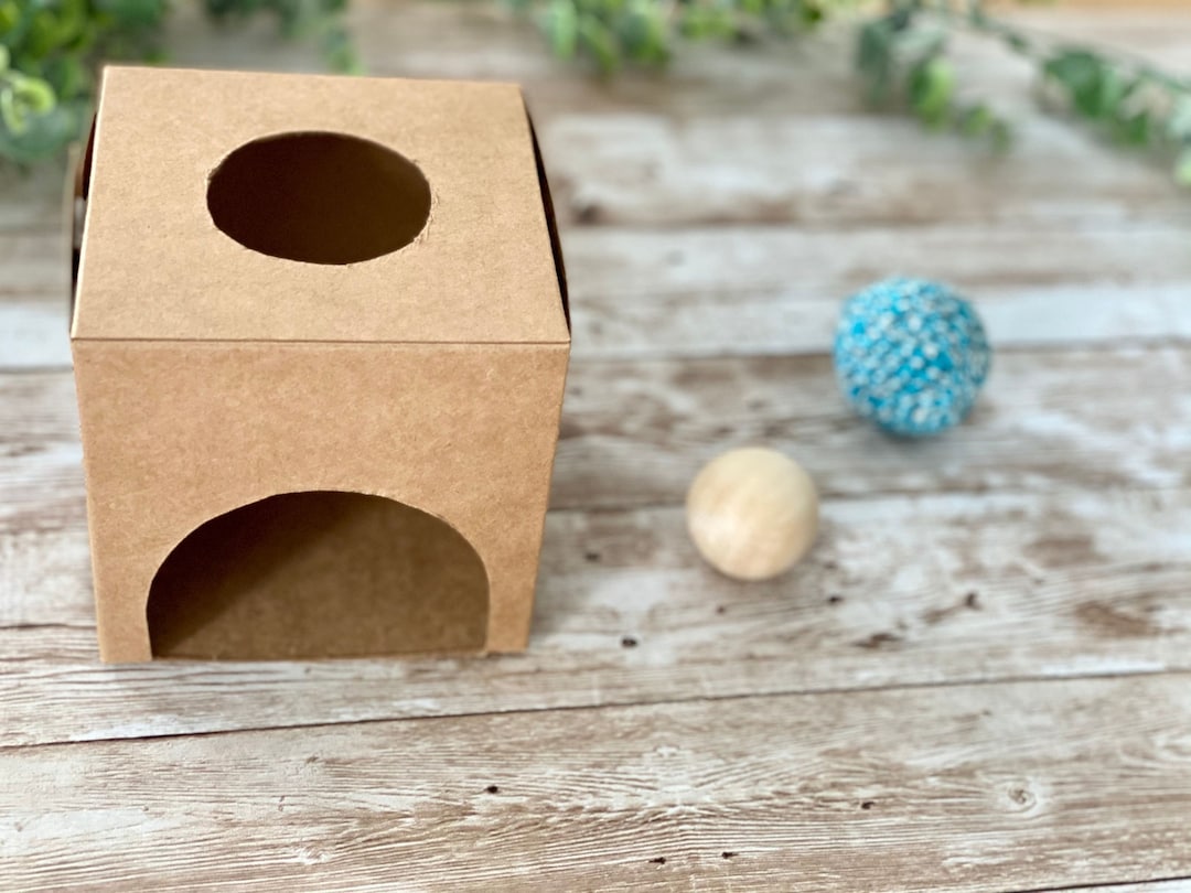 Ball Drop Box, Montessori Ball Drop, Object Permanence Box, Montessori ...