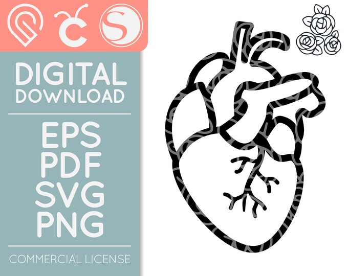 Anatomical Heart Clip Art Heart Clip Art Heart Icon Heart Cricut File ...