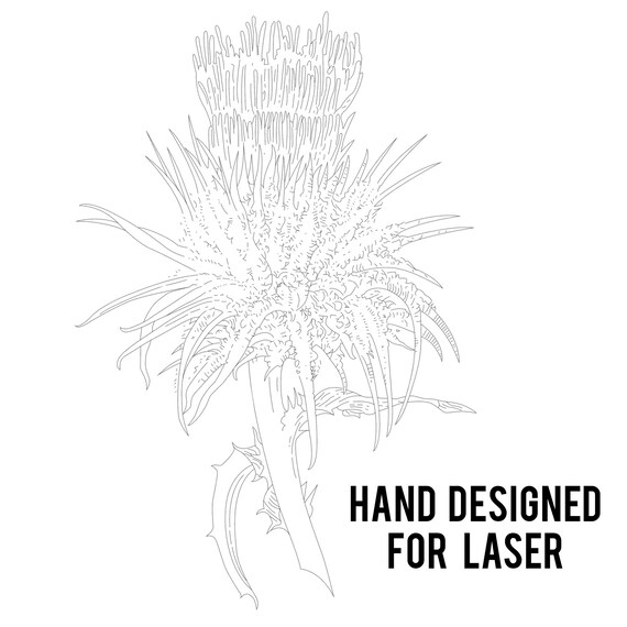 Thistle Line Drawing