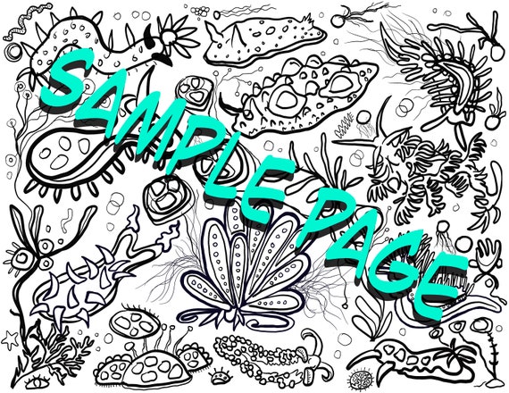 Sea Life Doodle Art Coloring Page Printable Digital Download - Etsy Finland