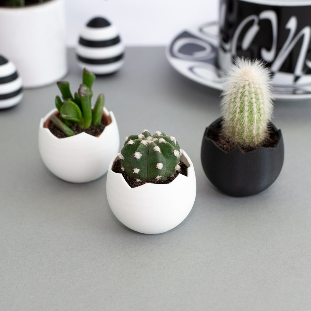 Mini Plant Pot Easter Egg 3D Print for Cacti - Easter Decor / Table ...