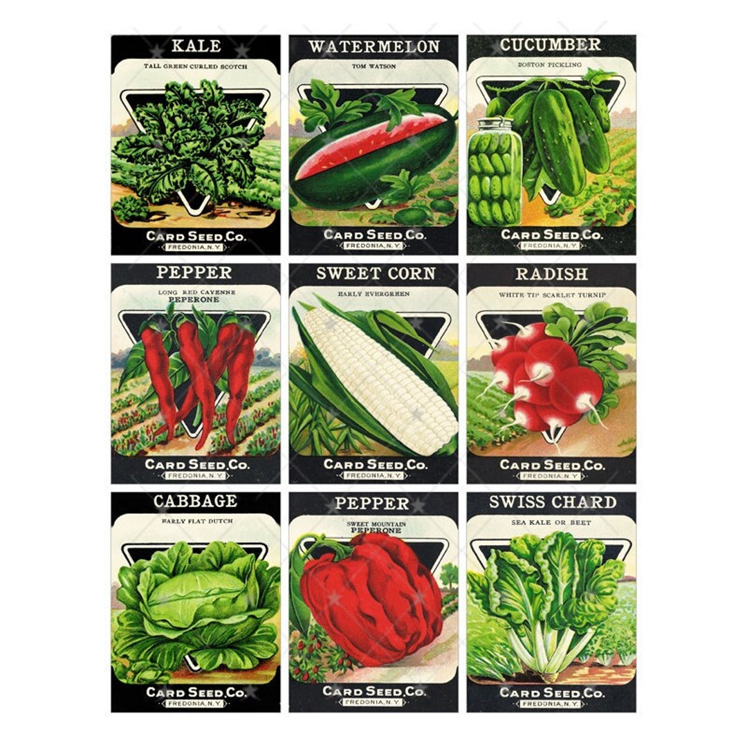 Vintage VEGETABLE Seed Packets Digital Collage Sheet Instant PDF JPEG ...