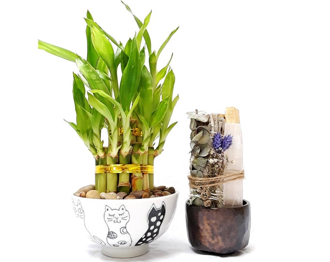 Bamboo Gifts & Sets - SimplyZen149.com