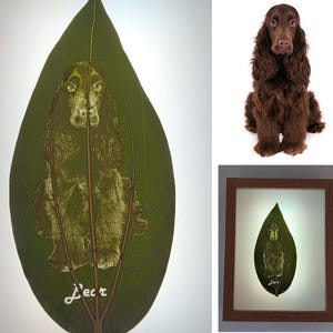 Photo Engraving | Personalized Engraved Leaf | Laser Engrave on Leaf ...