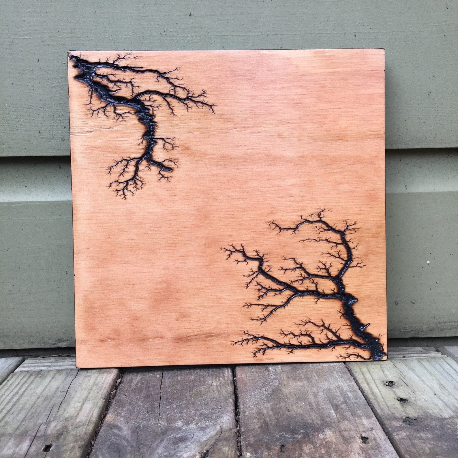Lichtenberg Fractal Burn Artwork 41 - Etsy