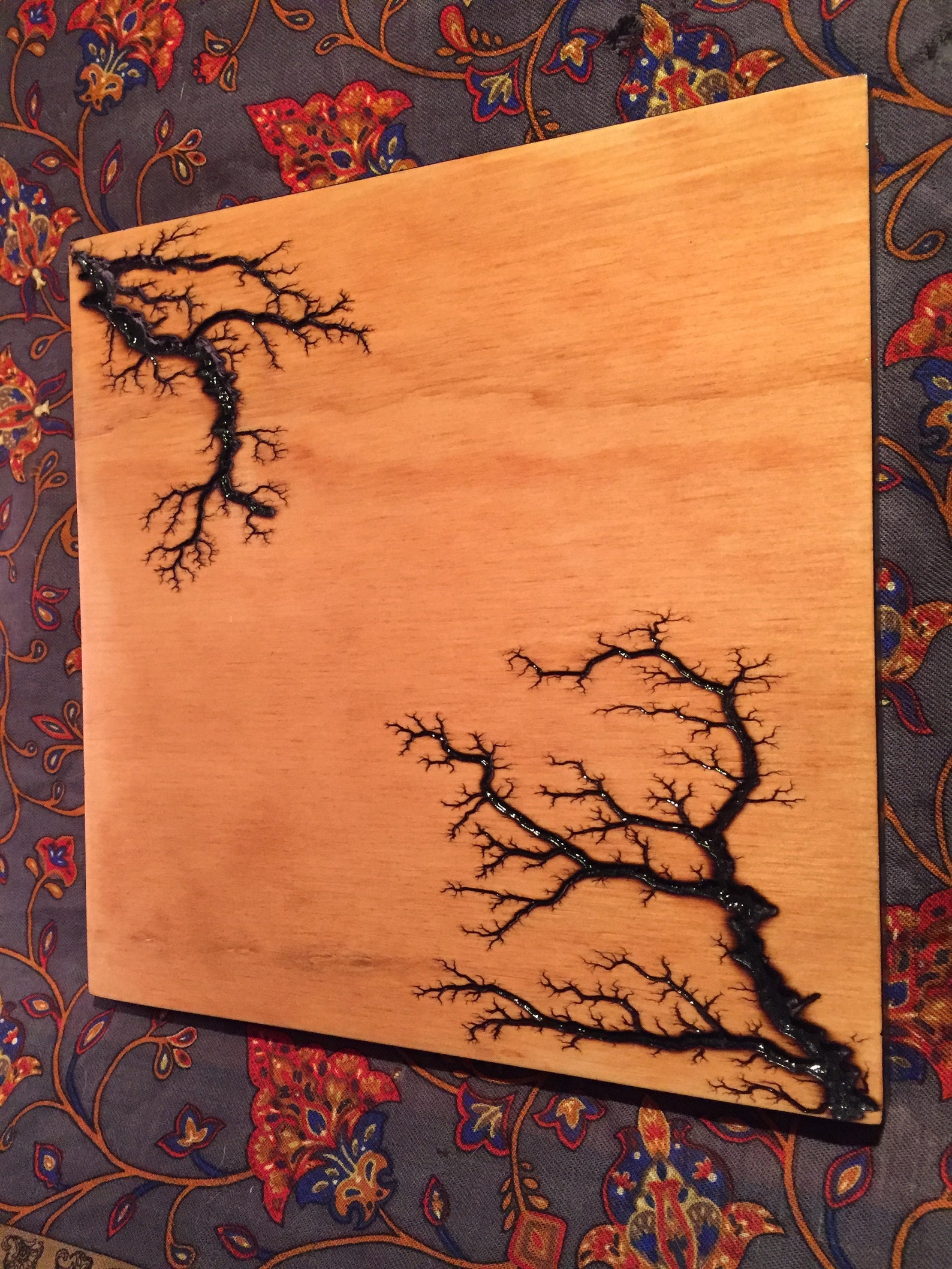 Lichtenberg Fractal Burn Artwork 41 - Etsy