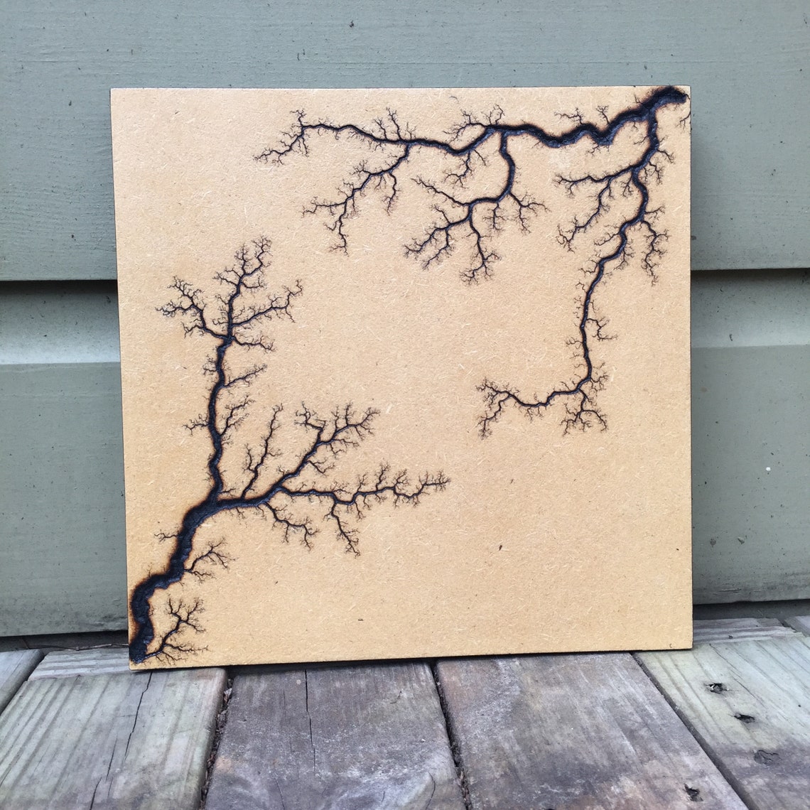 Lichtenberg Fractal Burn Artwork #46 - Etsy