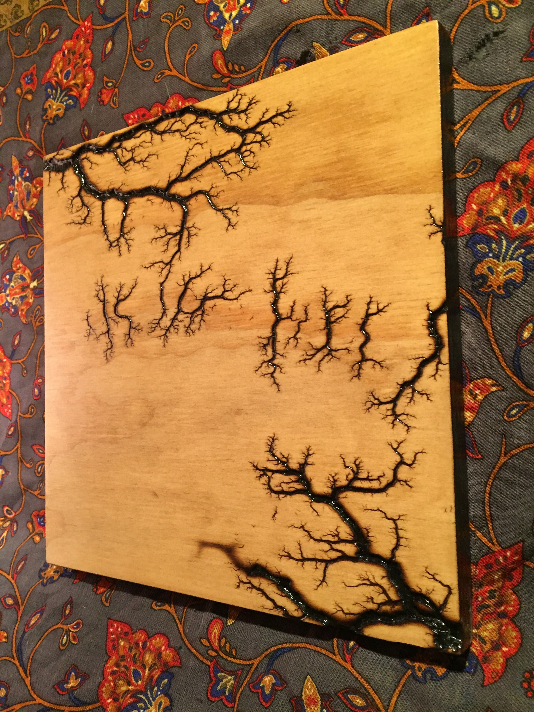 Lichtenberg Fractal Burn Artwork 39 - Etsy España