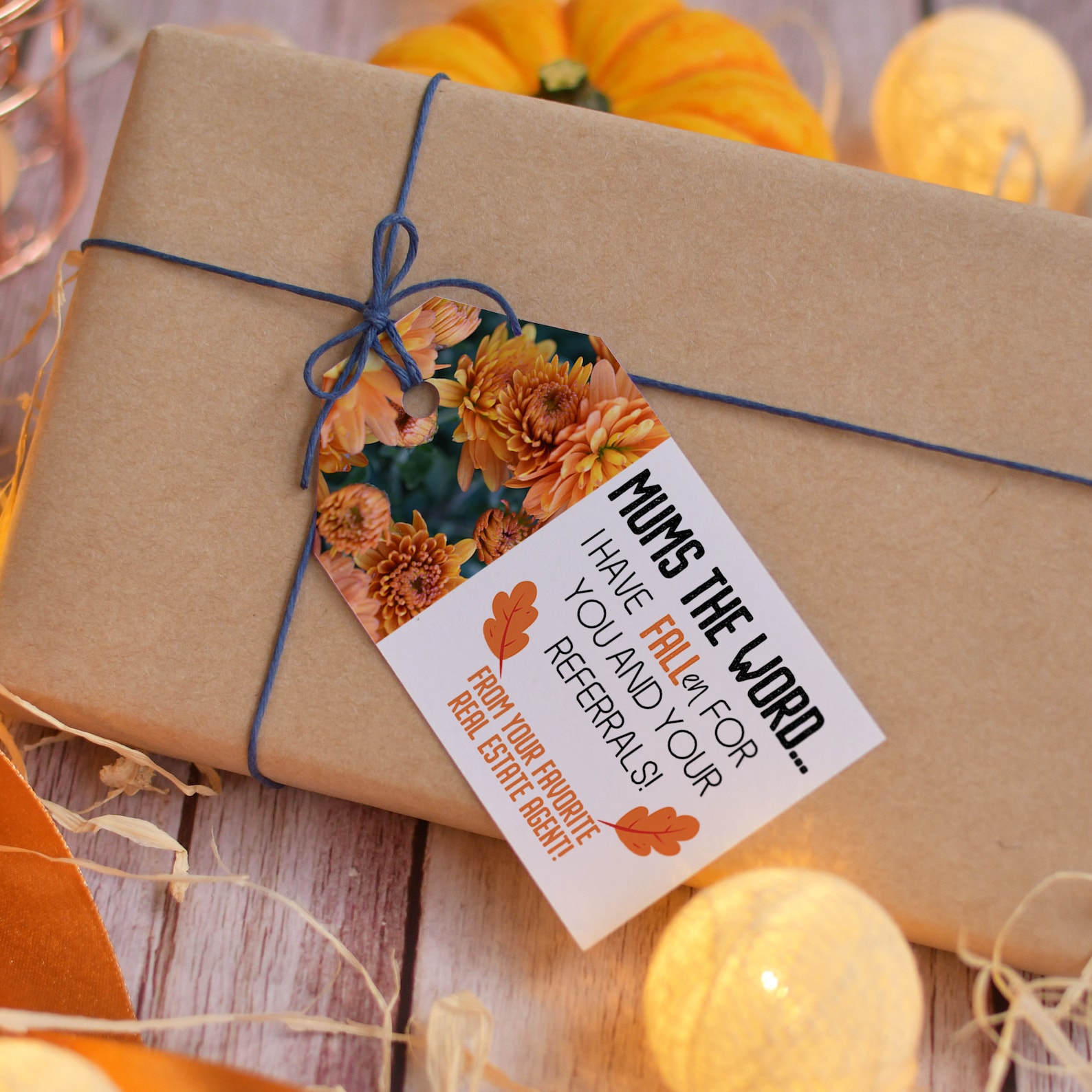 Orange Mums Pop by Tag, Fall Plant, Plant Pop By, Thanksgiving Pop by ...