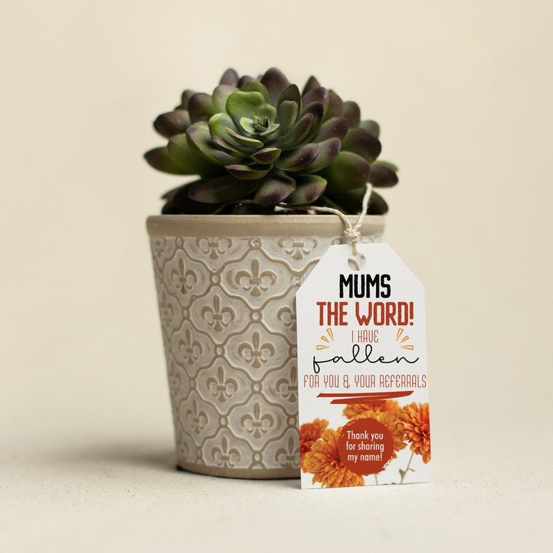 Mums Pop by Tag, Fall Plant, Plant Pop By, Thanksgiving Pop by Tags ...