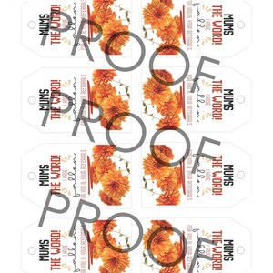 Mums Pop by Tag, Fall Plant, Plant Pop By, Thanksgiving Pop by Tags ...