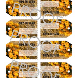 Mums Pop by Tag, Fall Plant, Plant Pop By, Thanksgiving Pop by Tags ...